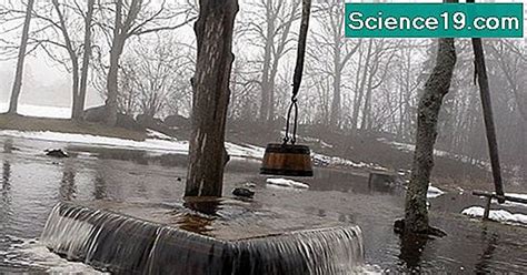 Ühised Happebaaside Indikaatorid 💫 Teaduslikud Ja Populaar Multimeedia Portaal 2025