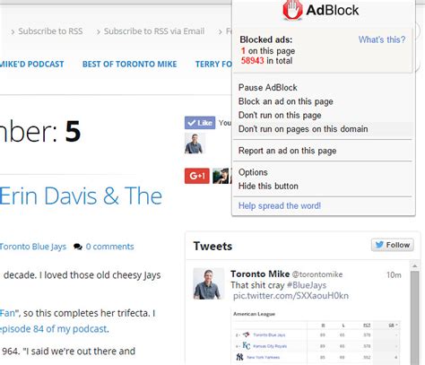 How To Disable AdBlock Or Adblock Plus On TorontoMike Com