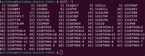 Top 10 Linux Based System Commands For Proficiency