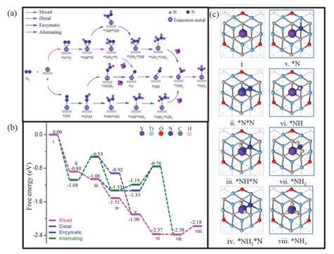 二维材料mxene在电催化领域中的dft理论计算应用详述 华算科技