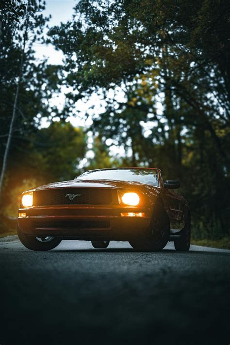 가을 저녁 고립 된 도로 교통 굴곡 도로 나무 나무를 통해 운전 도로 도로 모험 로드 트립 백그라운드에서 나무 빈티지 자동차 빈티지 헤드라이트 산림