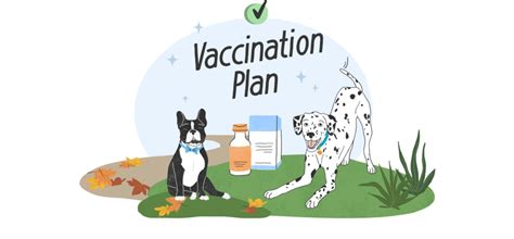 Core Vaccines For Dogs Zoetis Petcare