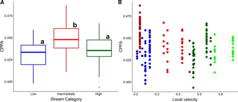 Differences In Caudal Peduncle Percent Area CPPA In Hyphessobrycon Download Scientific