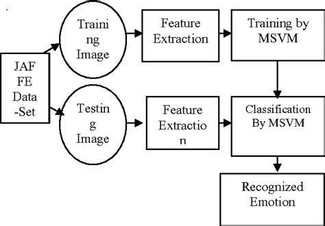 figure 1 from application of complete local binary pattern method for