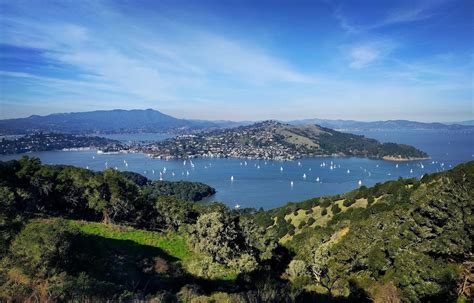 Camping Near Stinson Beach 5 Best Campgrounds — Campchimp Ai For Camping