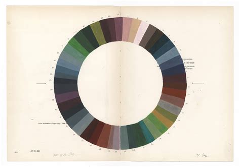 Scientific Illustration Sampling Across The Collections Georgetown University Library