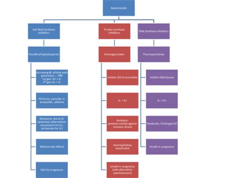 Antibiotic Review Flashcards Quizlet