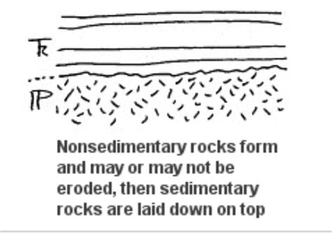 6th Grade Science Geologic Scale And Fossils Flashcards Quizlet