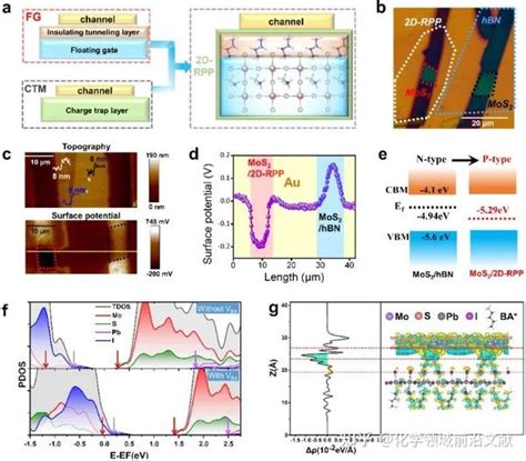 暨南大学谢伟广课题组am：基于mos2 2d钙钛矿型范德华异质结的快速、多比特、可见 红外宽光谱非易失性光电存储器 知乎