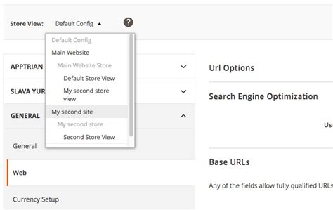 Magento 2 Multistore Explanation And How To Setup