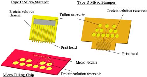 Schematic Representation Of The Line Up Micro Stamp Array System Type