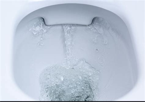 댓글 독자의 질문 40 변기의 물을 전기장치로 살균수로 만들어준다는 제품을 쓰고 있습니다 어떤 원리인가요