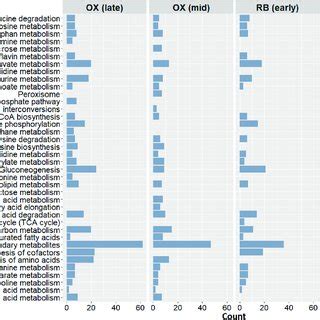 Bar Plot Of Significantly Enriched KEGG Pathways That Are Regulated