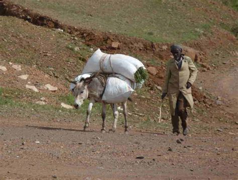 Sandstone Cottage Photographs Of Eritrea
