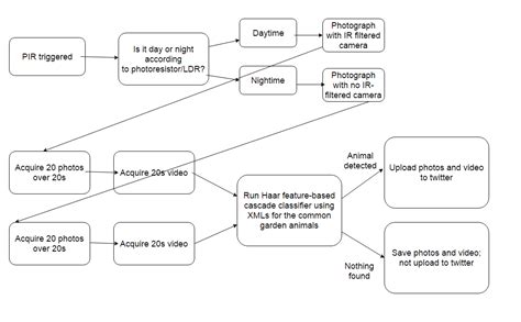 Machine Vision Based Wildlife Detection Project