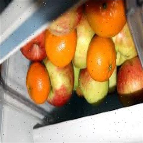 Bounding Box Object Detection Dataset By Waleed Anis