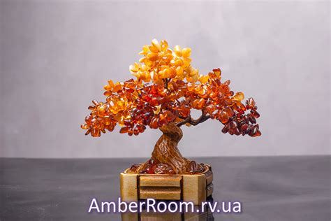 Дерево Бонсай з бурштину характеристики опис ціна фото замовити Львів
