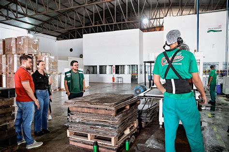 Mega Sena Da Virada Tem Quina E Quadra Descubra A Emo O Das Apostas