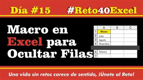Reto40excel Día 15 Macro En Excel Para Ocultar Filas Especialistas En Excel