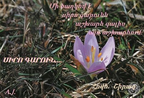 ՍԻՐՈ ԳԱՐՈՒՆ ՄԻ ԾԱՂԿՈՎ ԵՍ ԴՈՒ ԳԱԼԻՍ