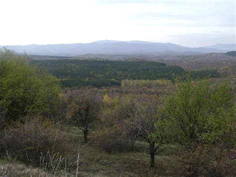 Еремия | это... Что такое Еремия?