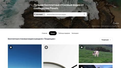 Как вставить видео в презентацию Powerpoint Bonnieandslide