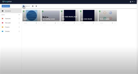 How To Manage Projects Labels Svgator Tutorial