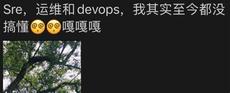 一文讲透研发,sre,运维,devops 的区别sre工程师和运维的区别 Csdn博客 一文讲透研发,sre,运维,devops 的区别sre工程师和运维的区别 Csdn博客