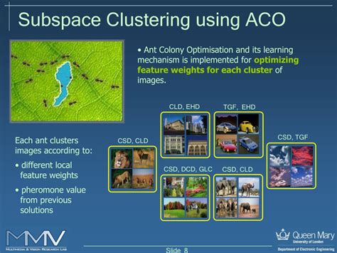 Ppt Clustering Of Visual Data Using Ant Inspired Methods Powerpoint