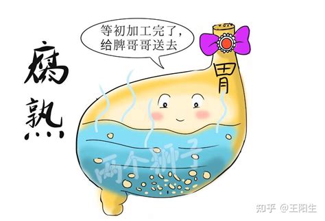 你到底是脾不好还是胃不好 知乎