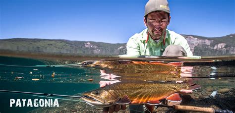 Fly Fishing Guides Bariloche Patagonia