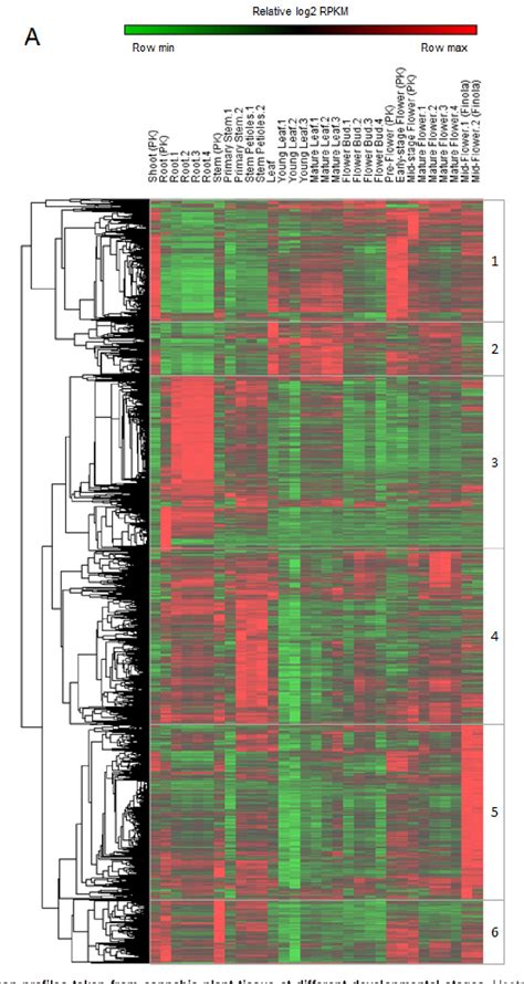 figure 1 from gene expression profiling in in silico cannabis sativa