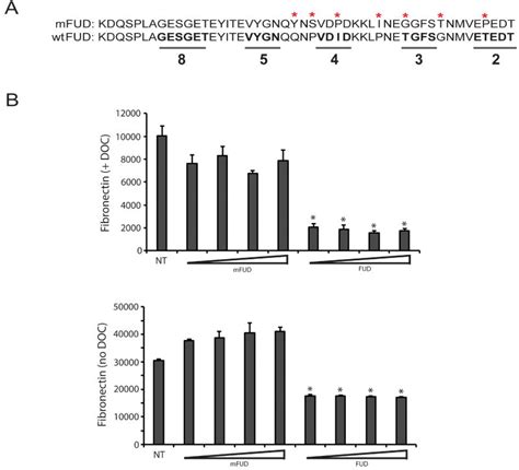 Disruption Of Fibronectin Matrix Affects Type Iv Collagen Fibrillin And Laminin Deposition Into