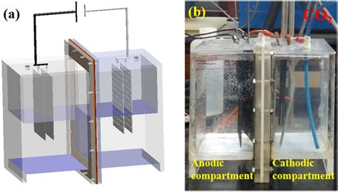 A Schematic Representation And B Photograph Of Electrochemical Reactor Download Scientific