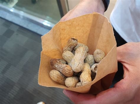 파이브가이즈 韓상륙 첫날…장맛비 속 더 달아오른 강남 버거 대전 [현장] 파이낸셜뉴스