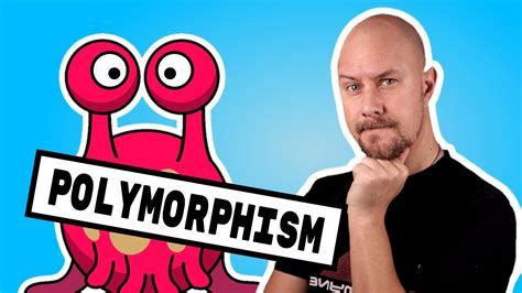 Nerdy Computer Science Words Polymorphism Youtube