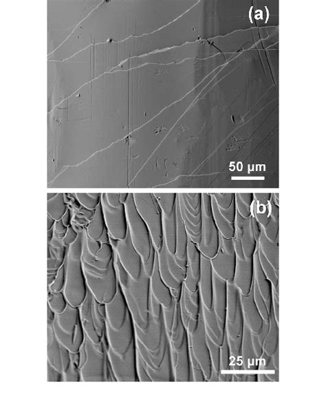 Sem Micrographs Of The Surface Morphology A And Fracture Feature B