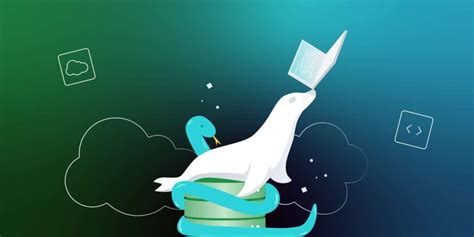 Por Qué Mariadb Es Una Buena Elección Para Tu Python Backend Kinsta®