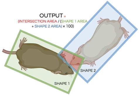 Geometry Mixin SimBA Documentation