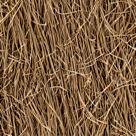 Hay Pattern Graphic · Creative Fabrica