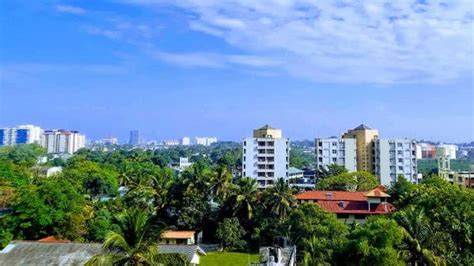 බොරැල්ලේ ගස් 97ක් කඩා වැටෙන්න ඔන්න මෙන්න අරුණ