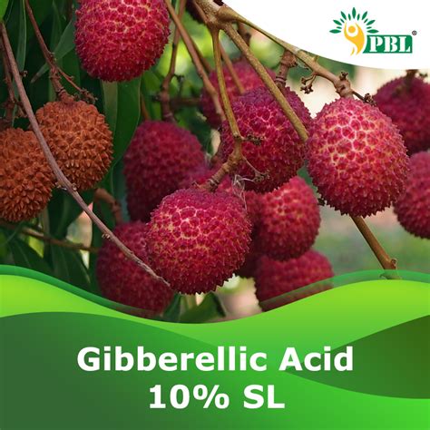 Gibberellic Acid 10 Sl Plant Growth Regulator Manufacturer Peptech