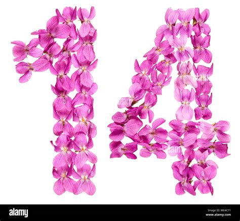 Arabic Numeral 14 Fourteen From Flowers Of Viola Isolated On White Arabic Numeral 14 Fourteen From Flowers Of Viola Isolated On White