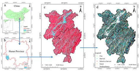Forests Free Full Text Detection Of Forest Disturbances With Different Intensities Using