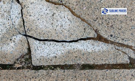 How Do You Repair A Driveway Damaged By Tree Roots