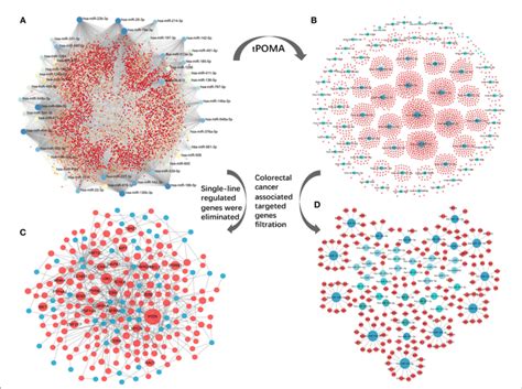 Figure Construction Of Mirna Target Network A Overall Mirna Target