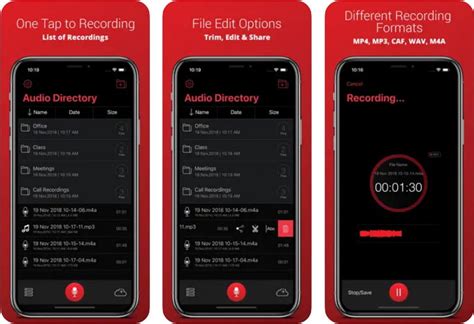 Voice Memo Recorder A Multipurpose Audio Recorder For IOS Review