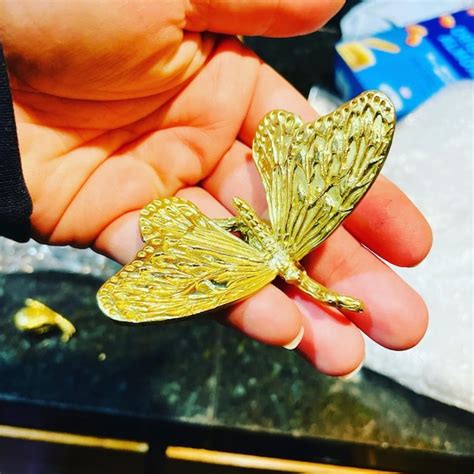 Butterfly Solid Brass Cabinet Knob Antique Brass Butterfly Dresser