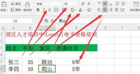 Excel零基础入门教程 随意云