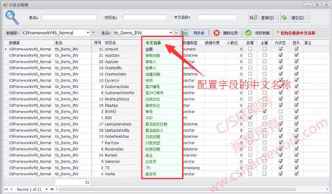 C S系统快速开发框架代码生成器 Winform代码生成器 C NET代码生成器 C S框架网